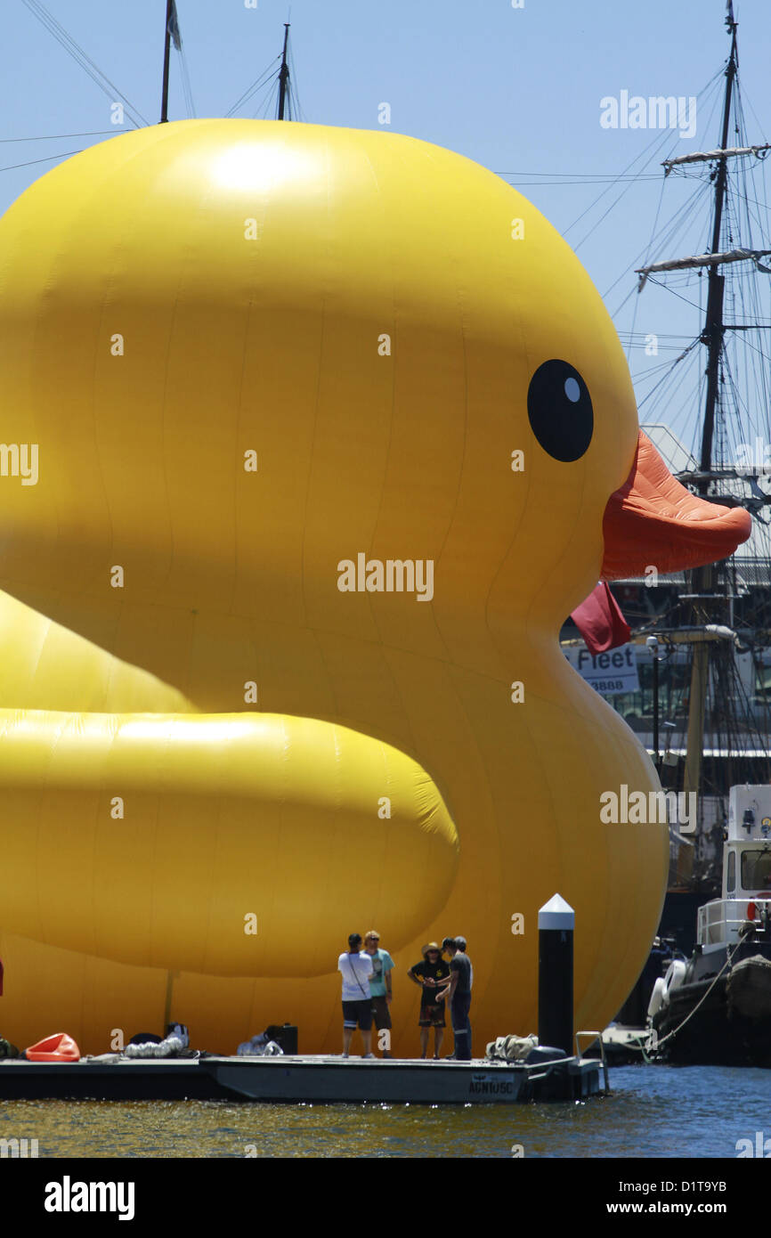 Jan. 5, 2013 - January 5, 2013 - Sydney, Australia - Sydneysiders ...
