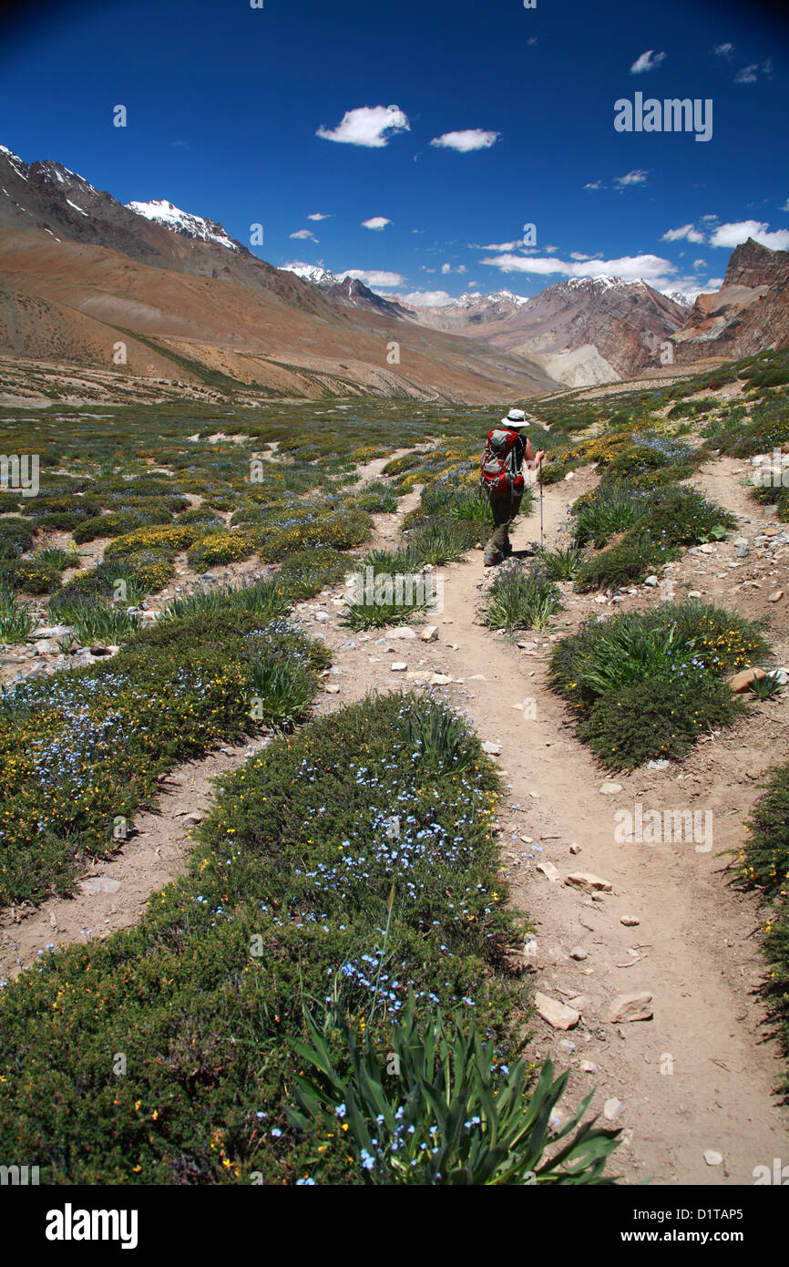 A female trekker in the Himalayan mountains Stock Photo - Alamy