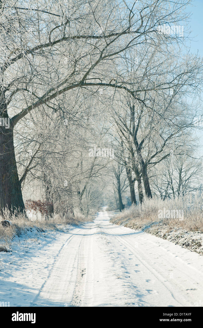 Grit Ground High Resolution Stock Photography and Images - Alamy