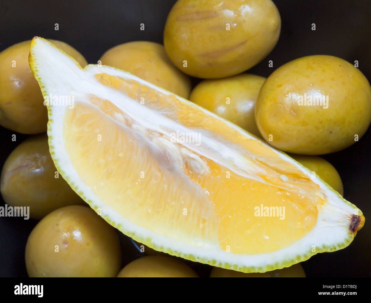 Segment close up hi-res stock photography and images - Alamy