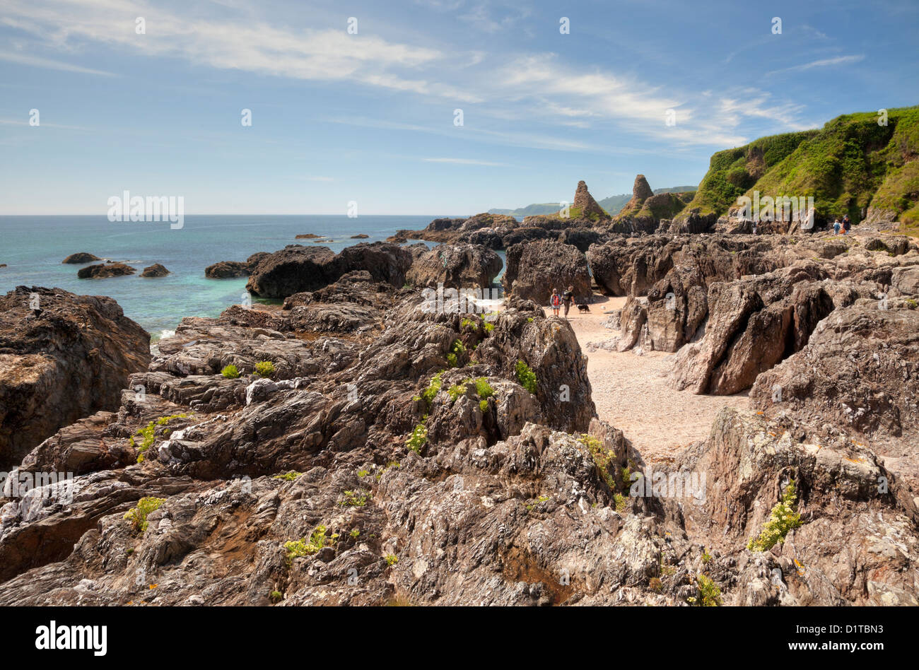 Wild flowers and rock formations, Great Mattiscombe Sand, Devon ...