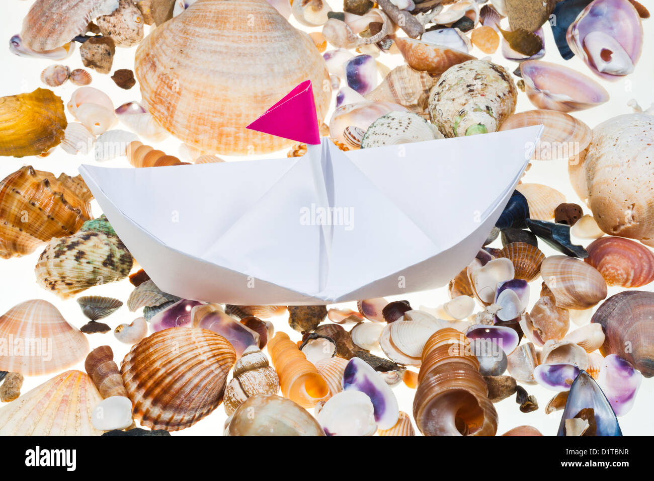 white paper boat on background from sea shells Stock Photo - Alamy