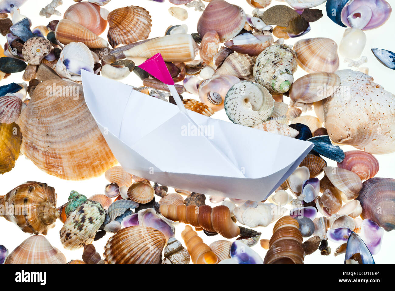 white paper boat with flag on background from sea shells Stock Photo ...
