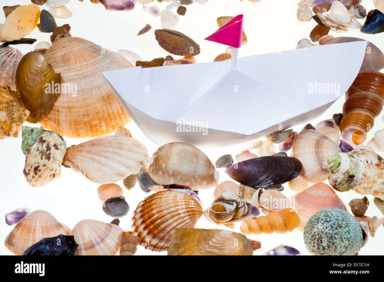hand made paper boat on background from sea shells Stock Photo - Alamy