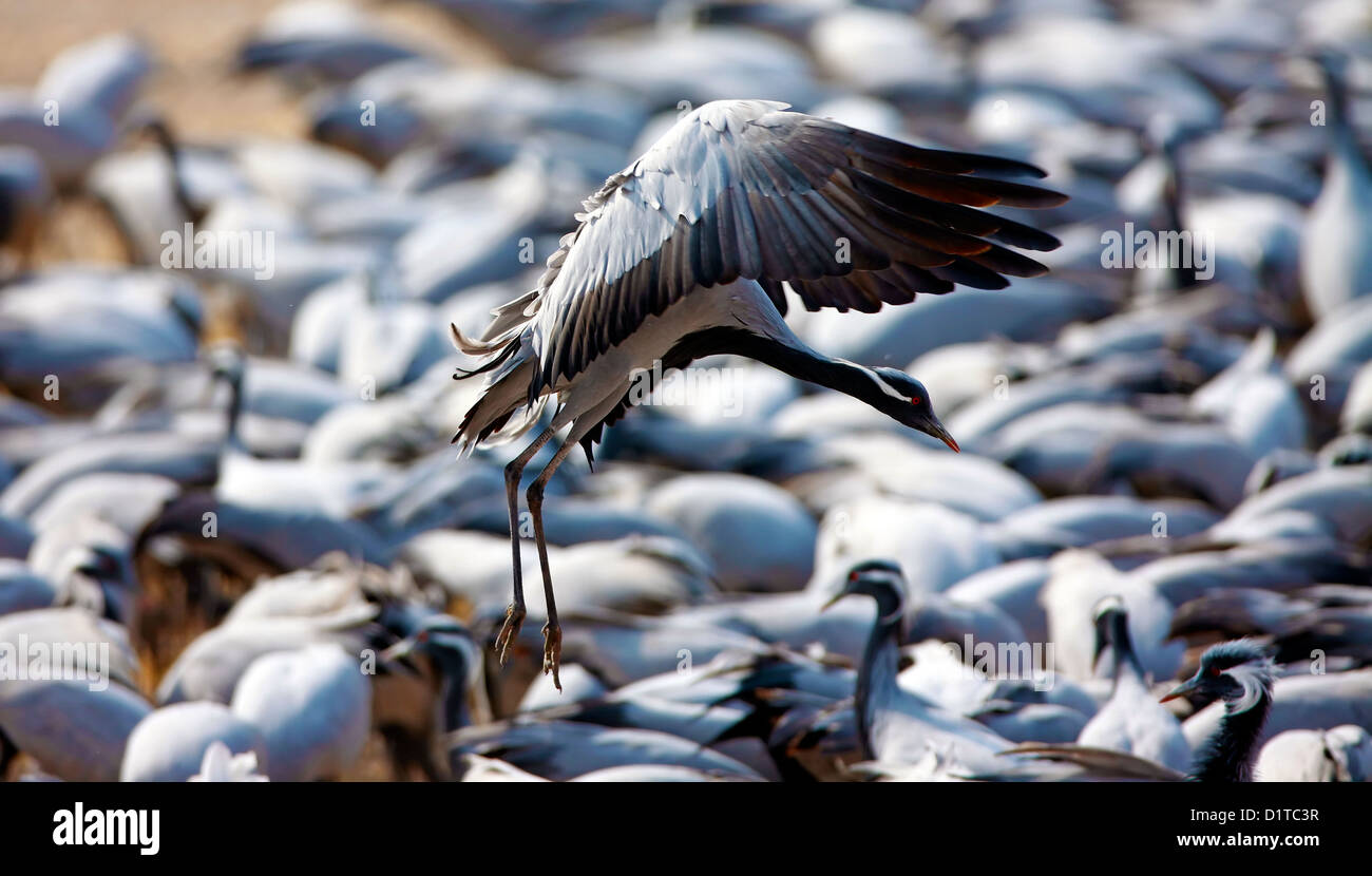 Taking Off - Activity Stock Photo - Alamy