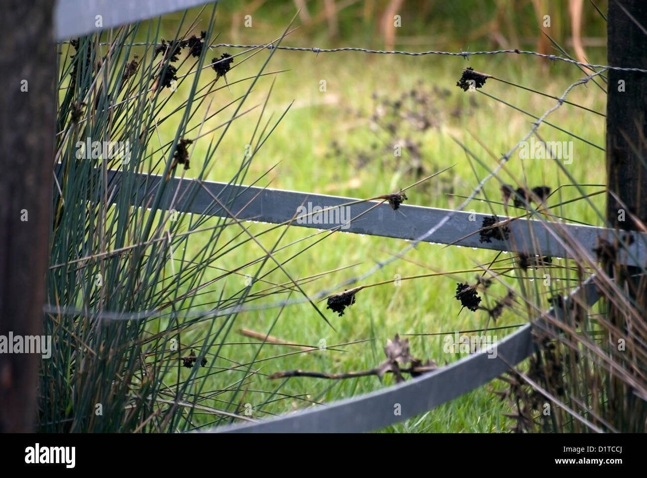 Drop fence hi-res stock photography and images - Alamy
