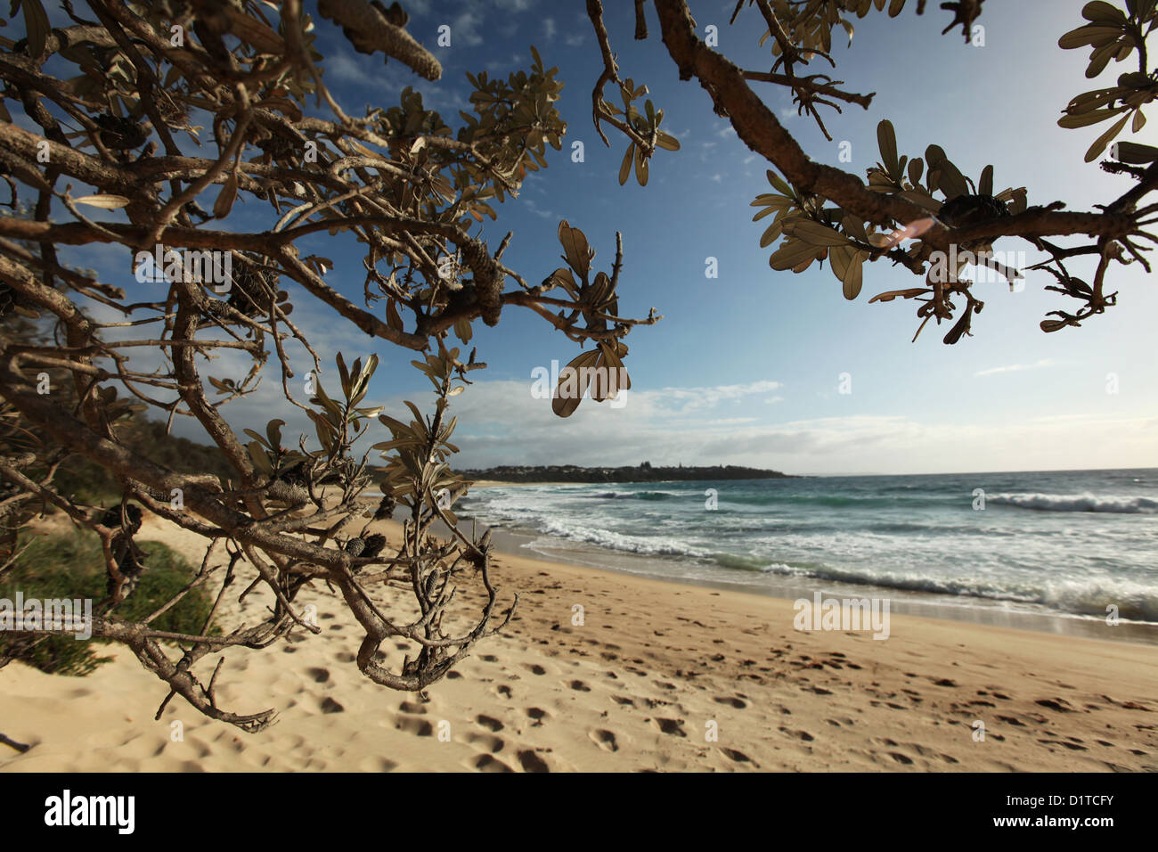 Manyana Beach, on the South Coast of New South Wales, viewed South to ...