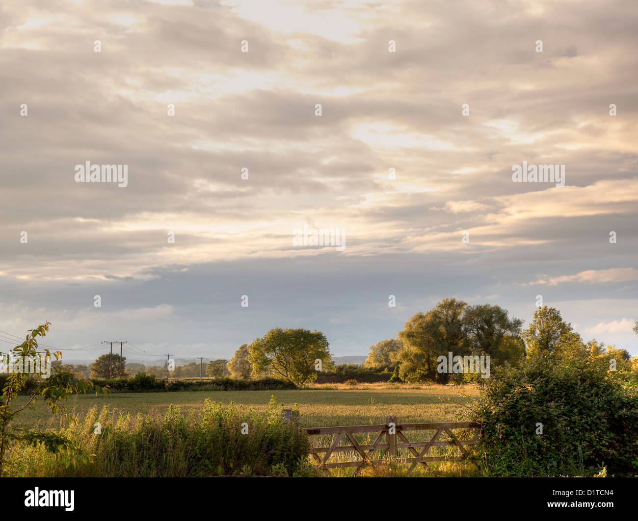 Gate background hi-res stock photography and images - Alamy