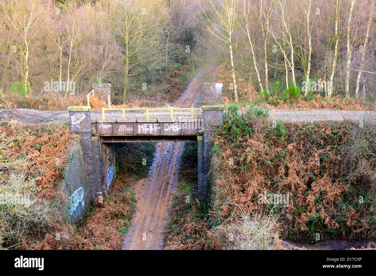 An old, disused and derelict rail bridge in the middle of a forest and ...