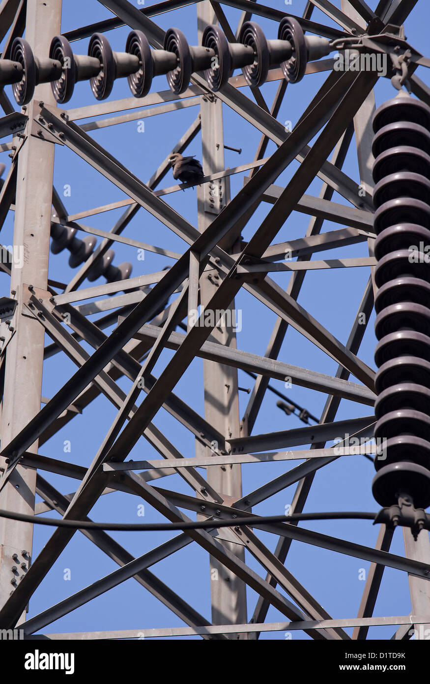 Indian electricity pole hi-res stock photography and images - Alamy