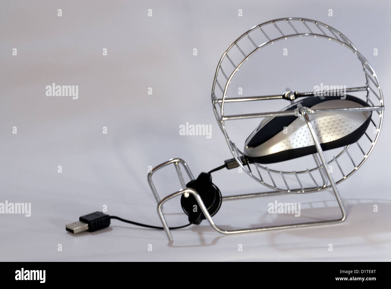 Mouse inside a wheel of hamster with white background Stock Photo - Alamy