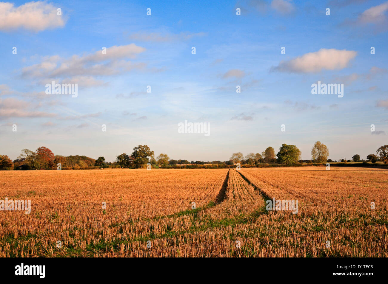 Blofield norfolk hi-res stock photography and images - Alamy