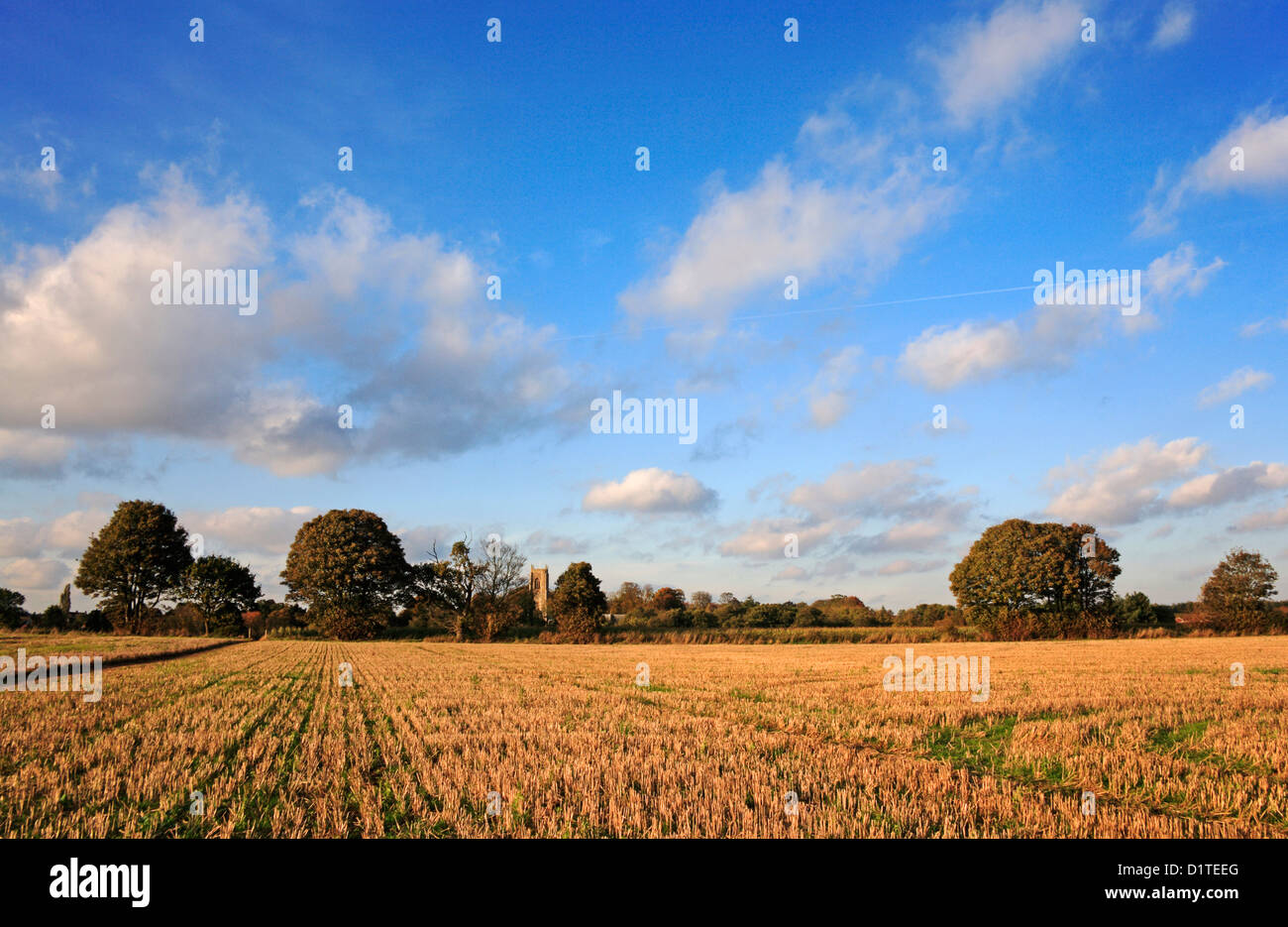 An autumn scene in the countryside with a church tower among trees at ...