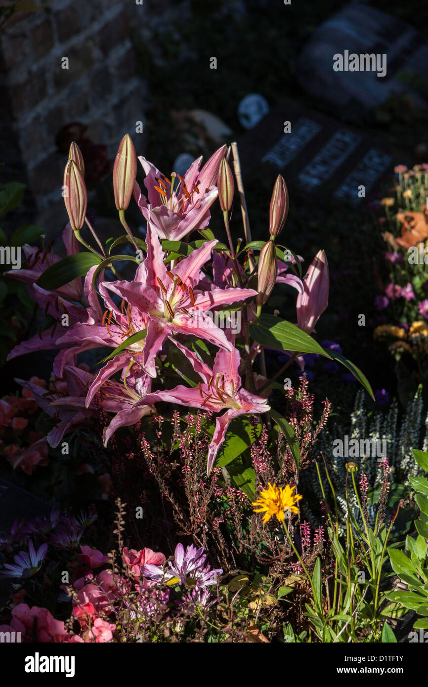 Berlin, Germany, lily bouquet on a grave Stock Photo - Alamy