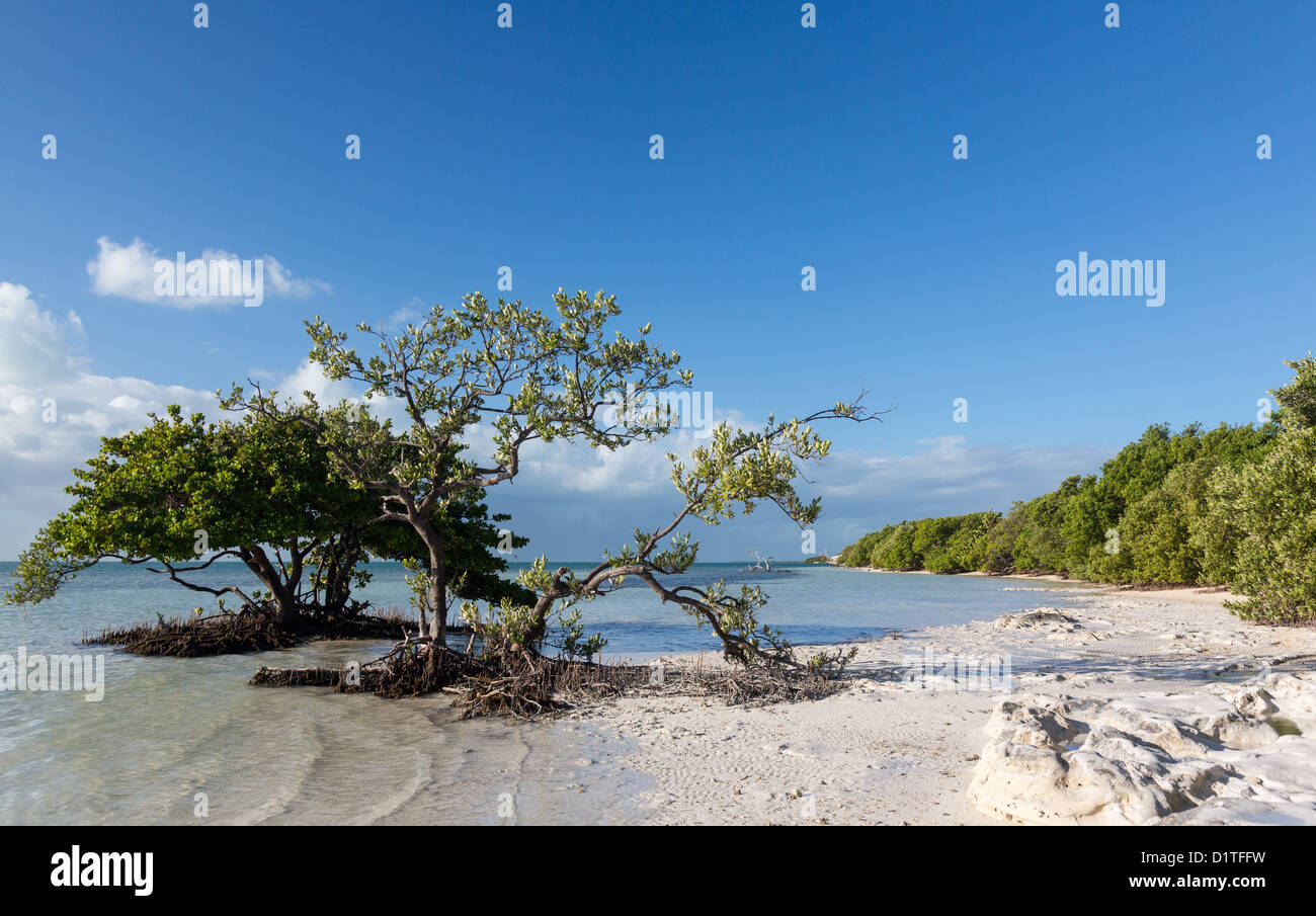 Picnic island florida hi-res stock photography and images - Alamy