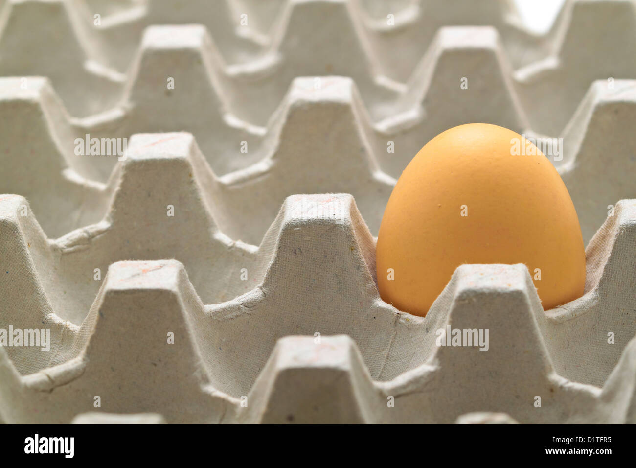 Eggs in a tray Stock Photo - Alamy