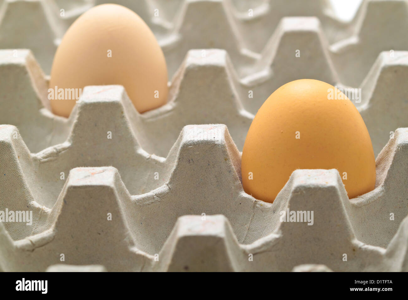 Two eggs in a tray Stock Photo - Alamy