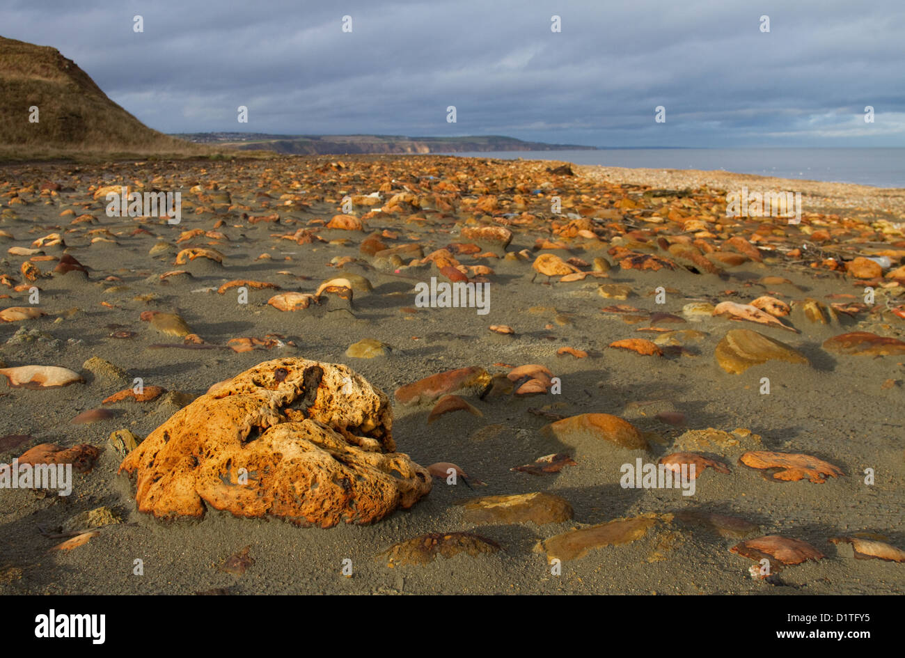 Golden rock at Blackhall Rocks, County Durham Stock Photo - Alamy