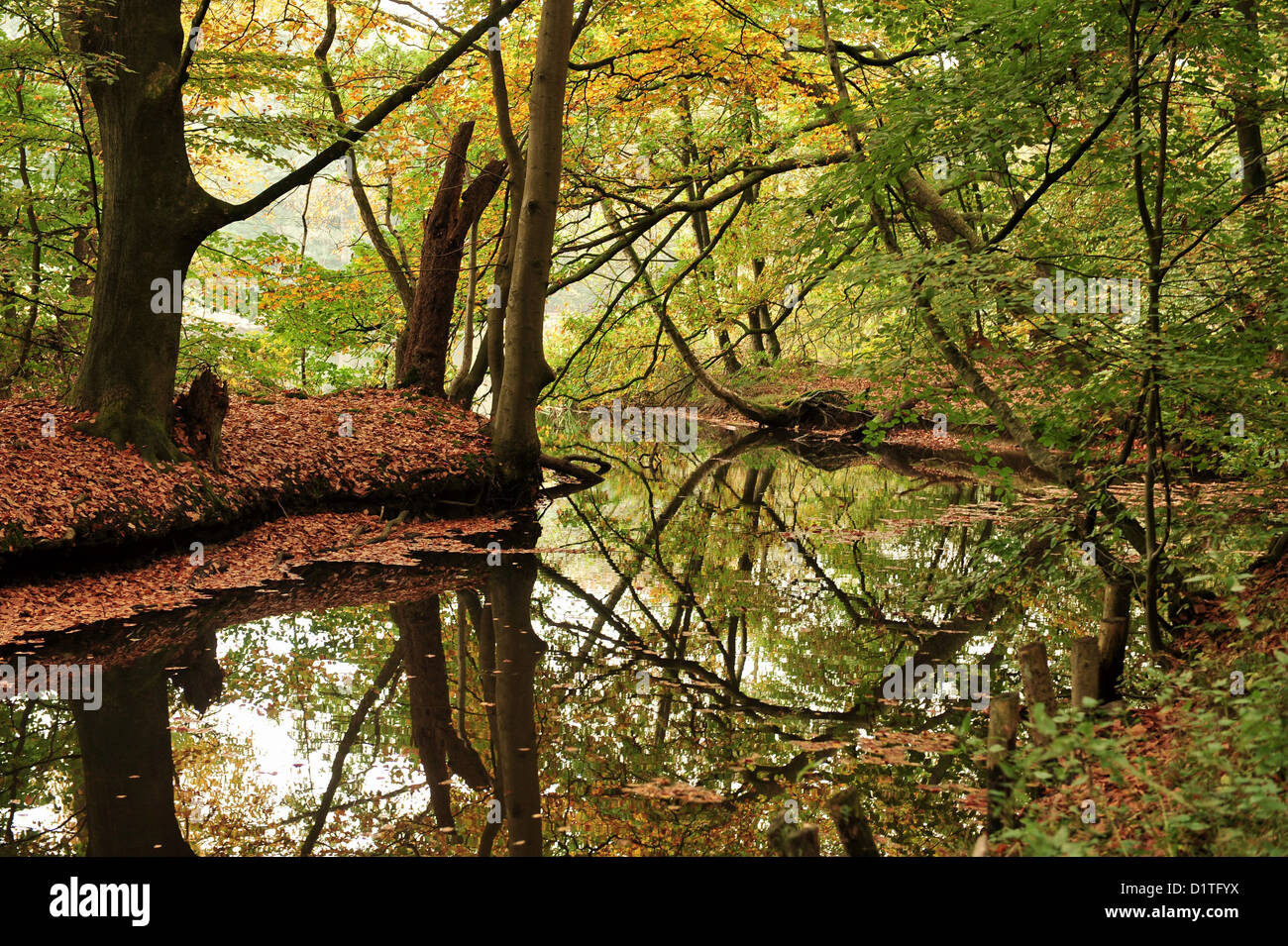 Varel High Resolution Stock Photography and Images - Alamy