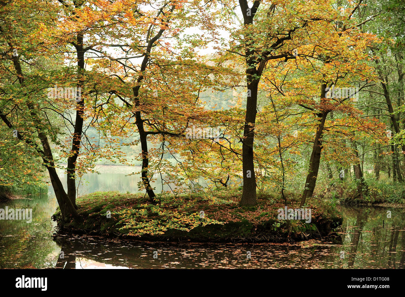 Varel, Germany, Autumn at Muehlenteich Stock Photo - Alamy