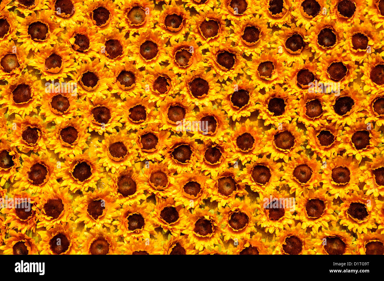 Temple Of Literature Flower Display Hanoi Vietnam // HANOI, Vietnam ...