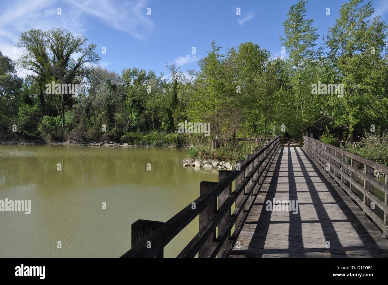 Po River Delta (Italy), Punte Alberete natural reserve Stock Photo - Alamy