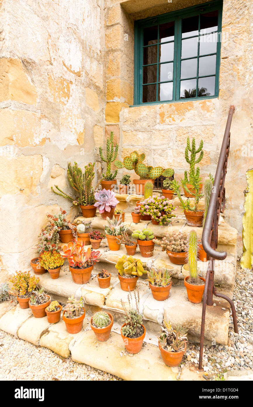 Pottery pots of cactus cacti plants on stone steps leading to window in ...