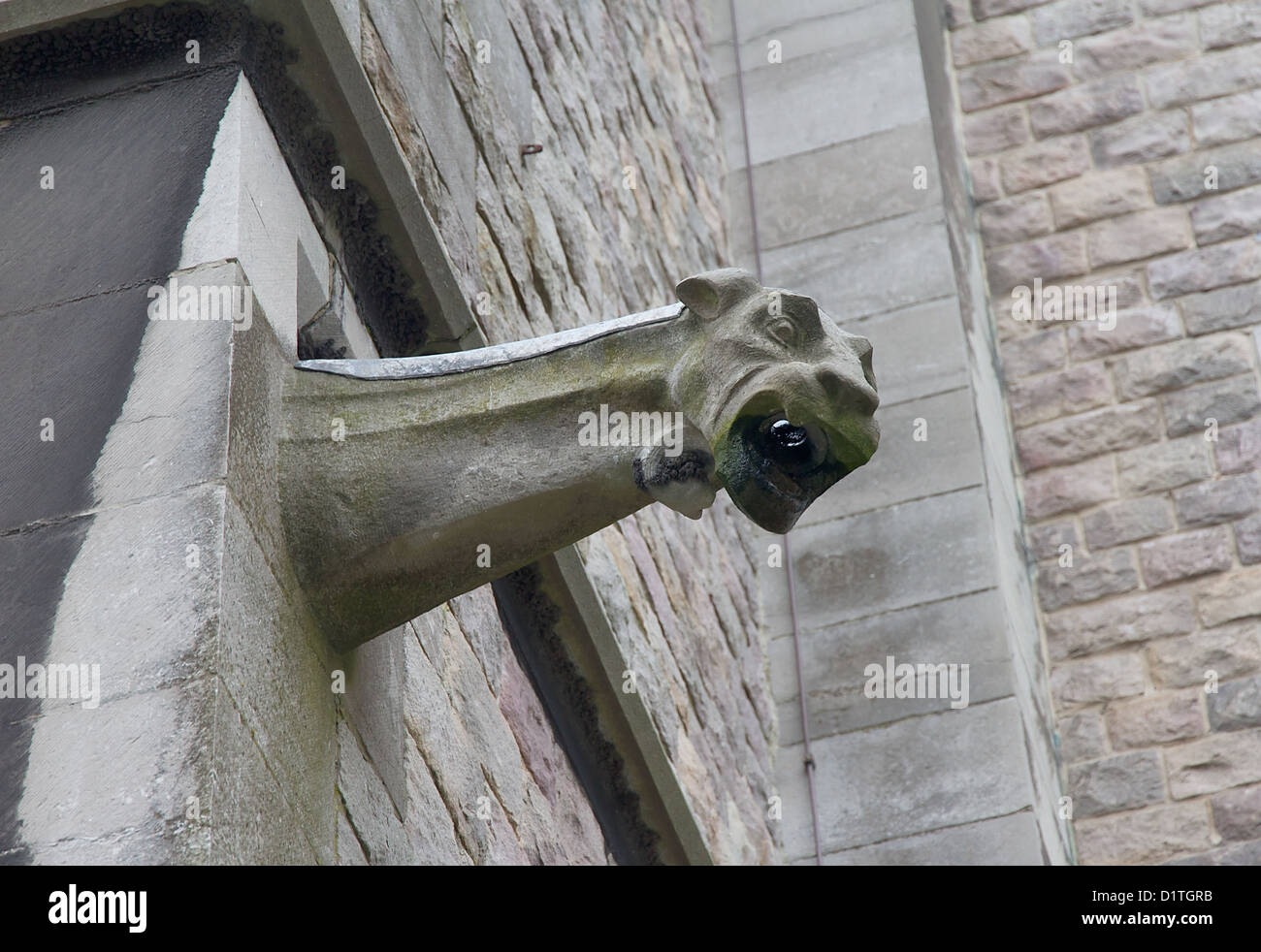 Waterspout looks like mythical creature Stock Photo - Alamy