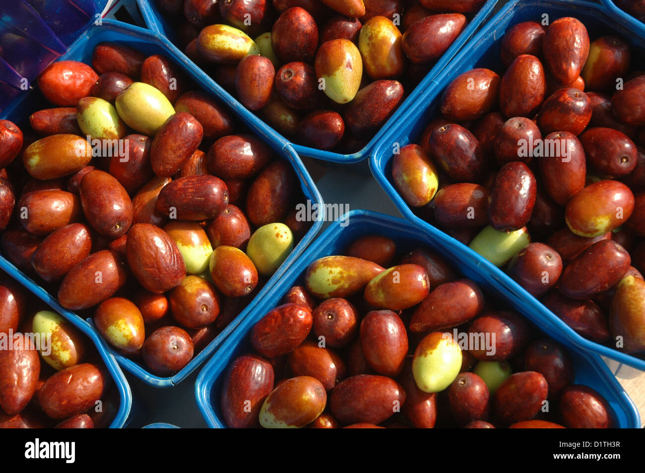 Giuggiole hi-res stock photography and images - Alamy