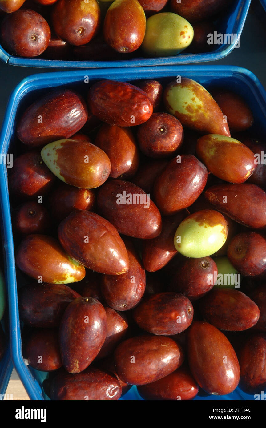 Giuggiole hi-res stock photography and images - Alamy