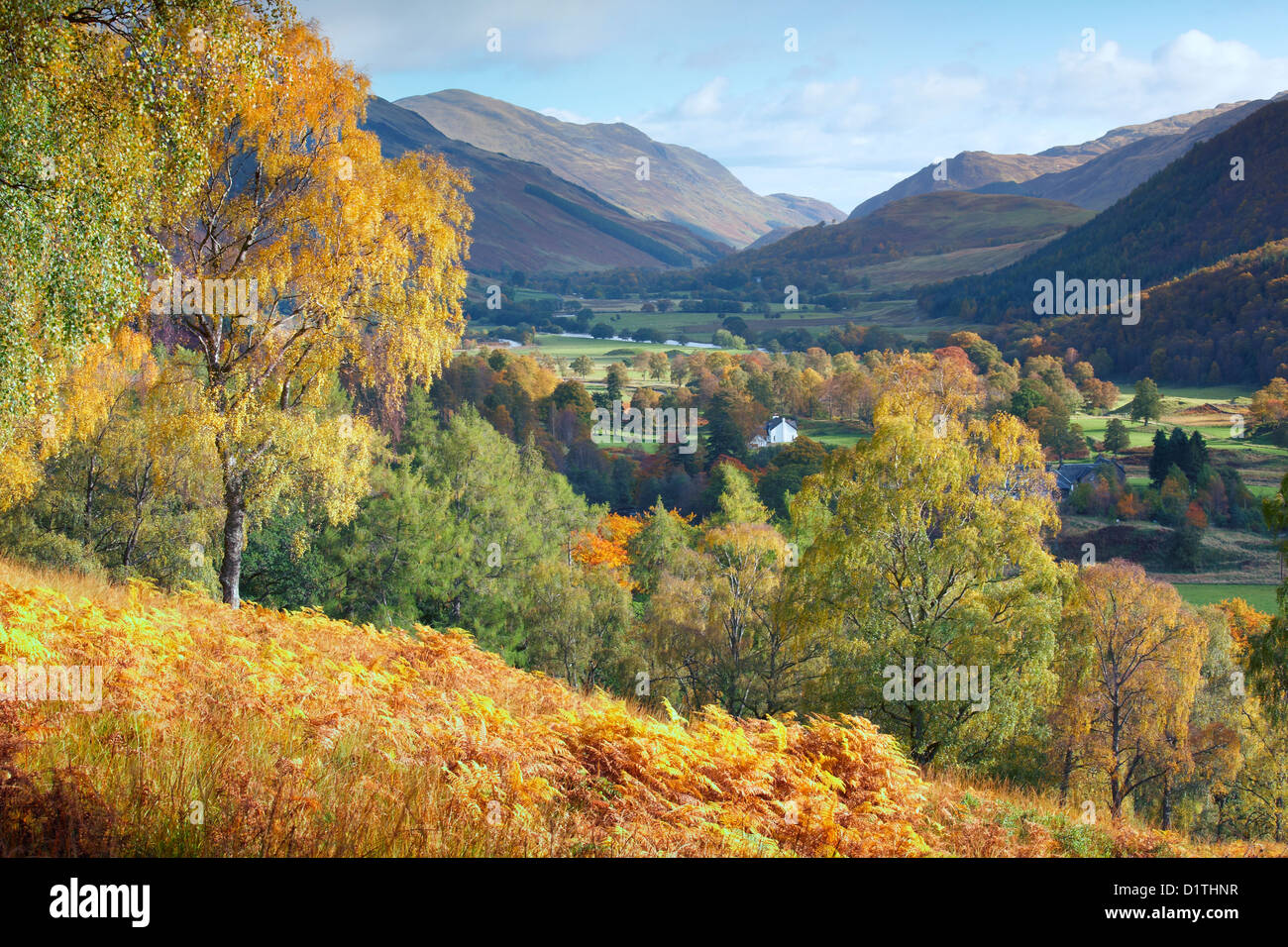 Scotland autumn colour hi-res stock photography and images - Alamy