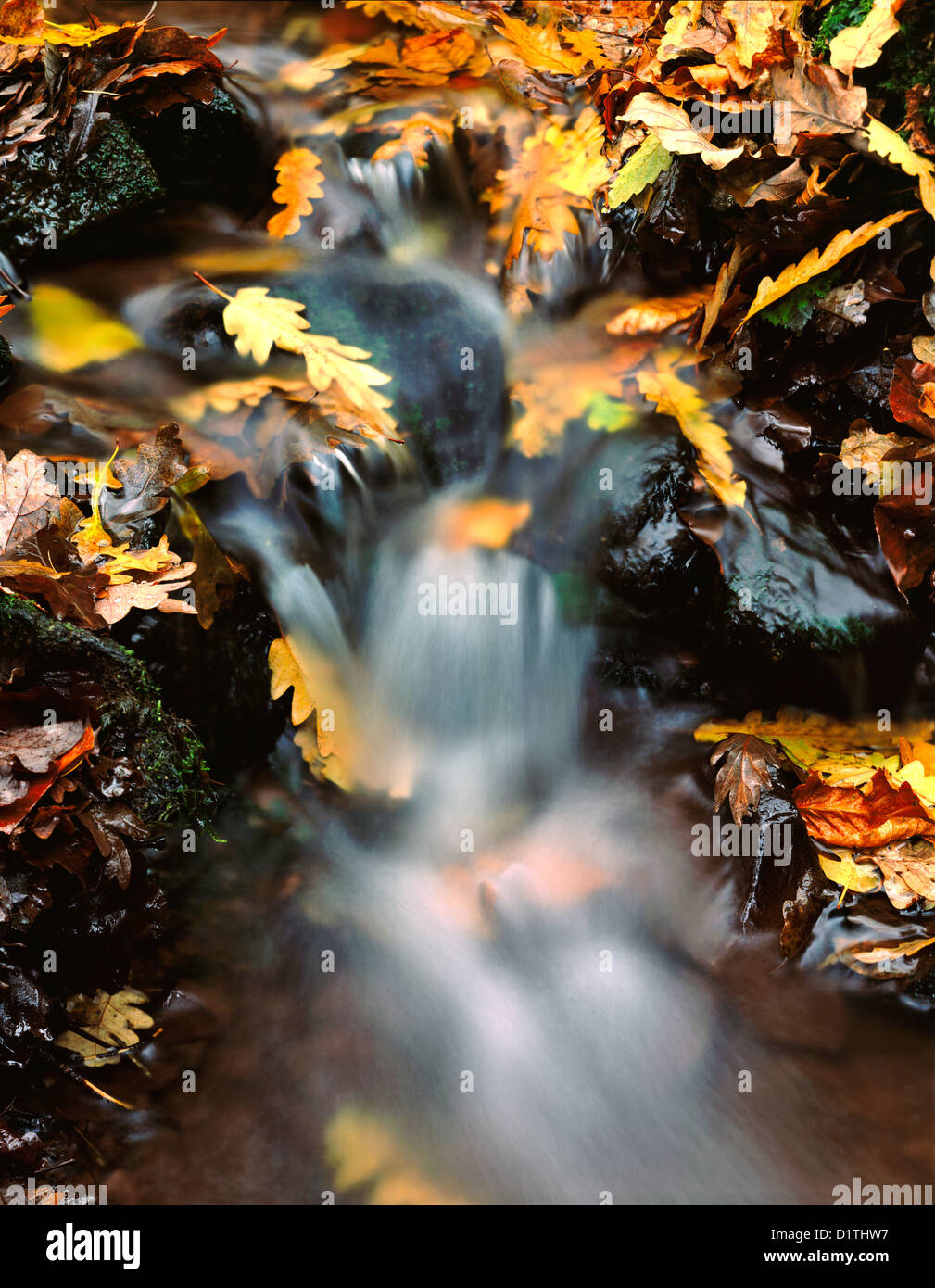 Exmoor waterfall hi-res stock photography and images - Alamy