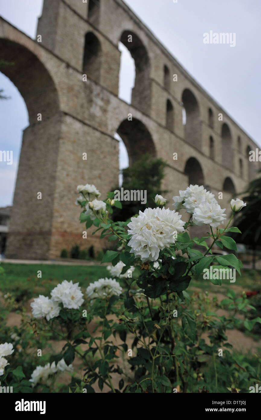 Roman ruins and flowers hi-res stock photography and images - Alamy