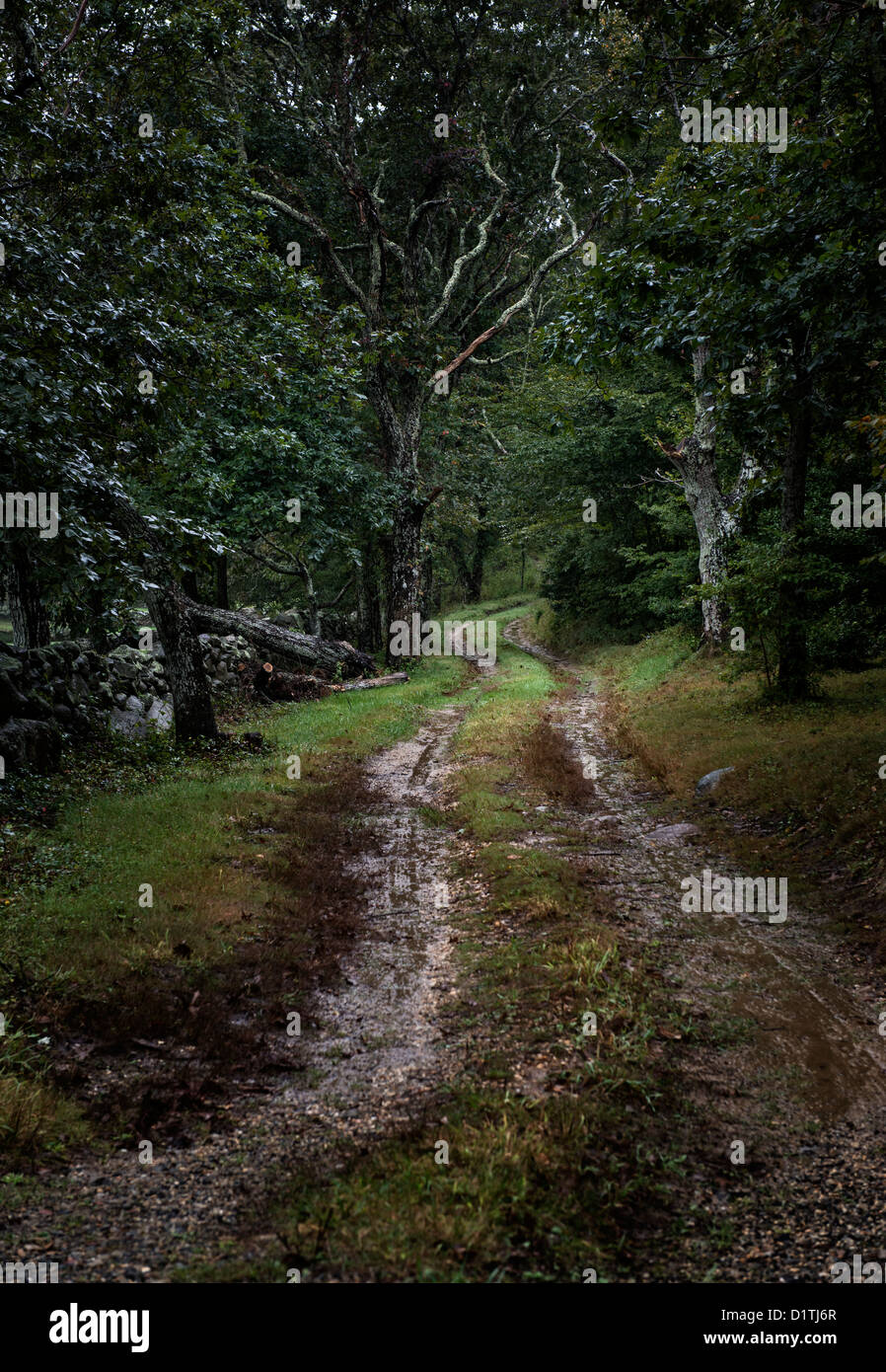 Dirt moody hi-res stock photography and images - Alamy