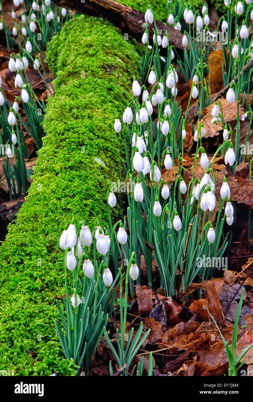 Valley of the cross hi-res stock photography and images - Alamy