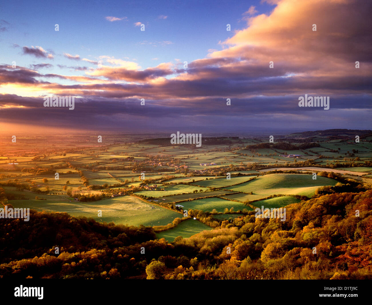 Amber moors hi-res stock photography and images - Alamy