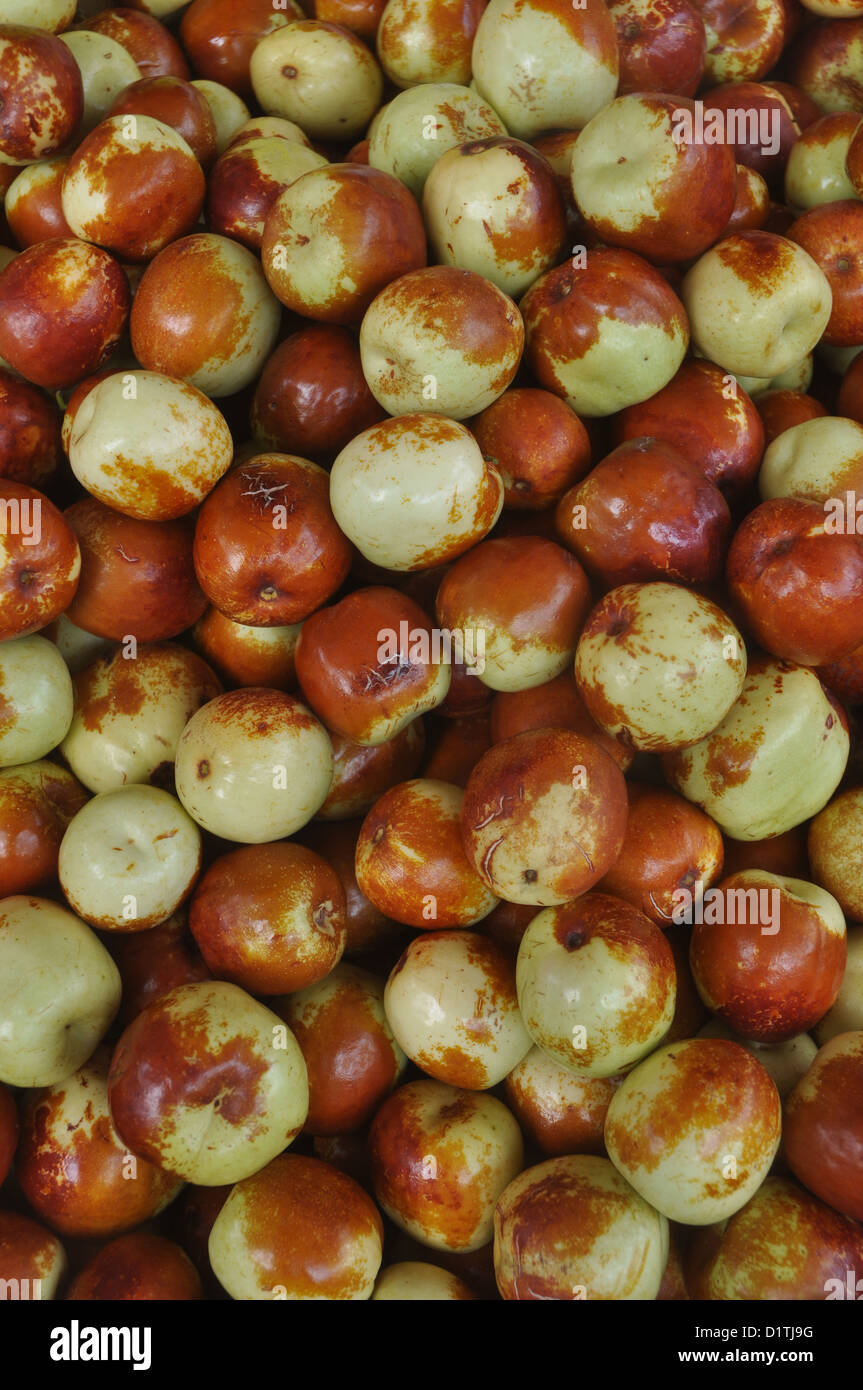 Giuggiole hi-res stock photography and images - Alamy