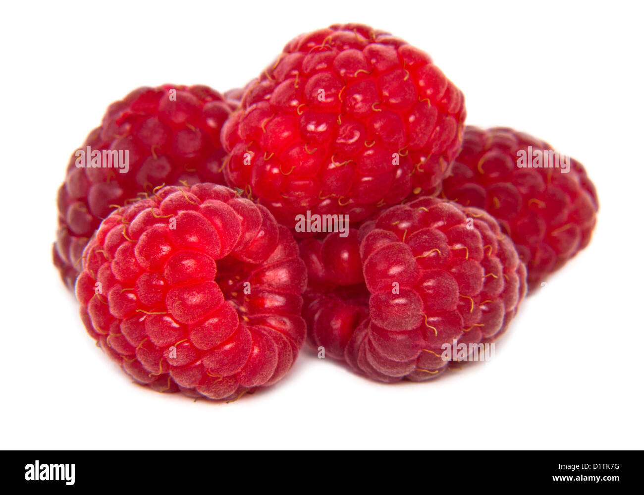 Raspberry isolated macro red close up fruit hi-res stock photography ...