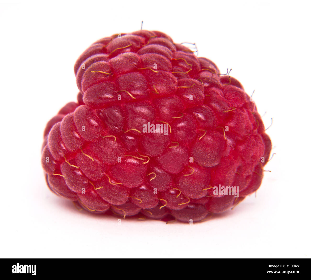 Close up photo of raspberry fruit isolated on white background Stock ...