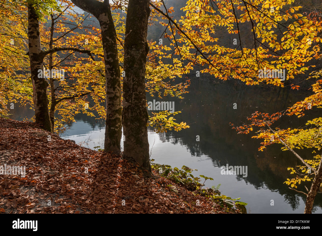 Fall Colours in Seven Lakes in Bolu,Turkey Stock Photo - Alamy