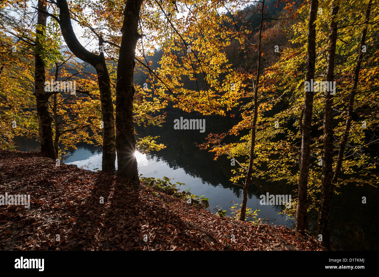 Fall Colours in Seven Lakes in Bolu,Turkey Stock Photo - Alamy
