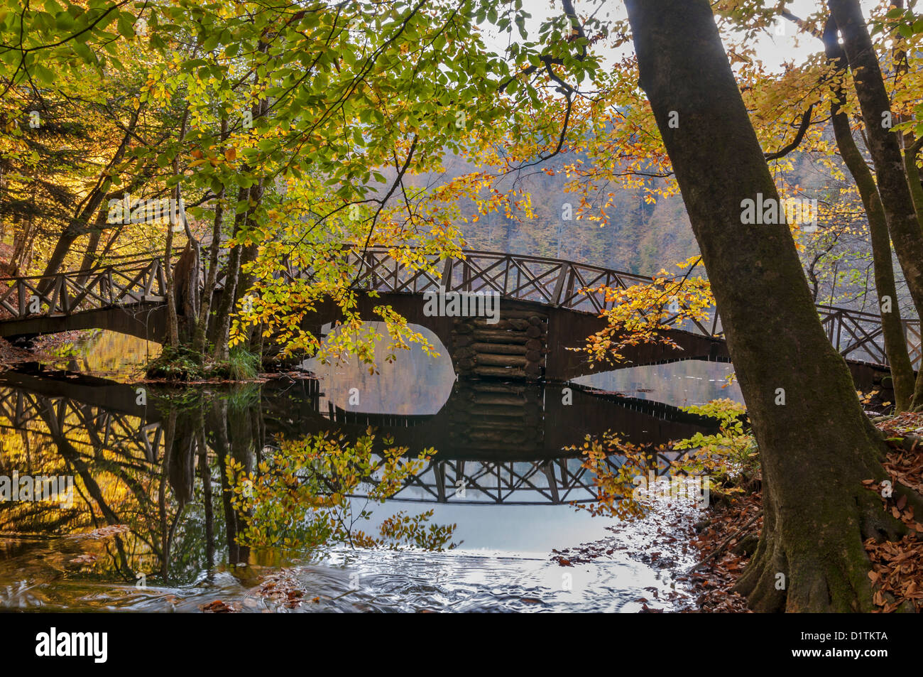 Fall Colours in Seven Lakes in Bolu,Turkey Stock Photo - Alamy