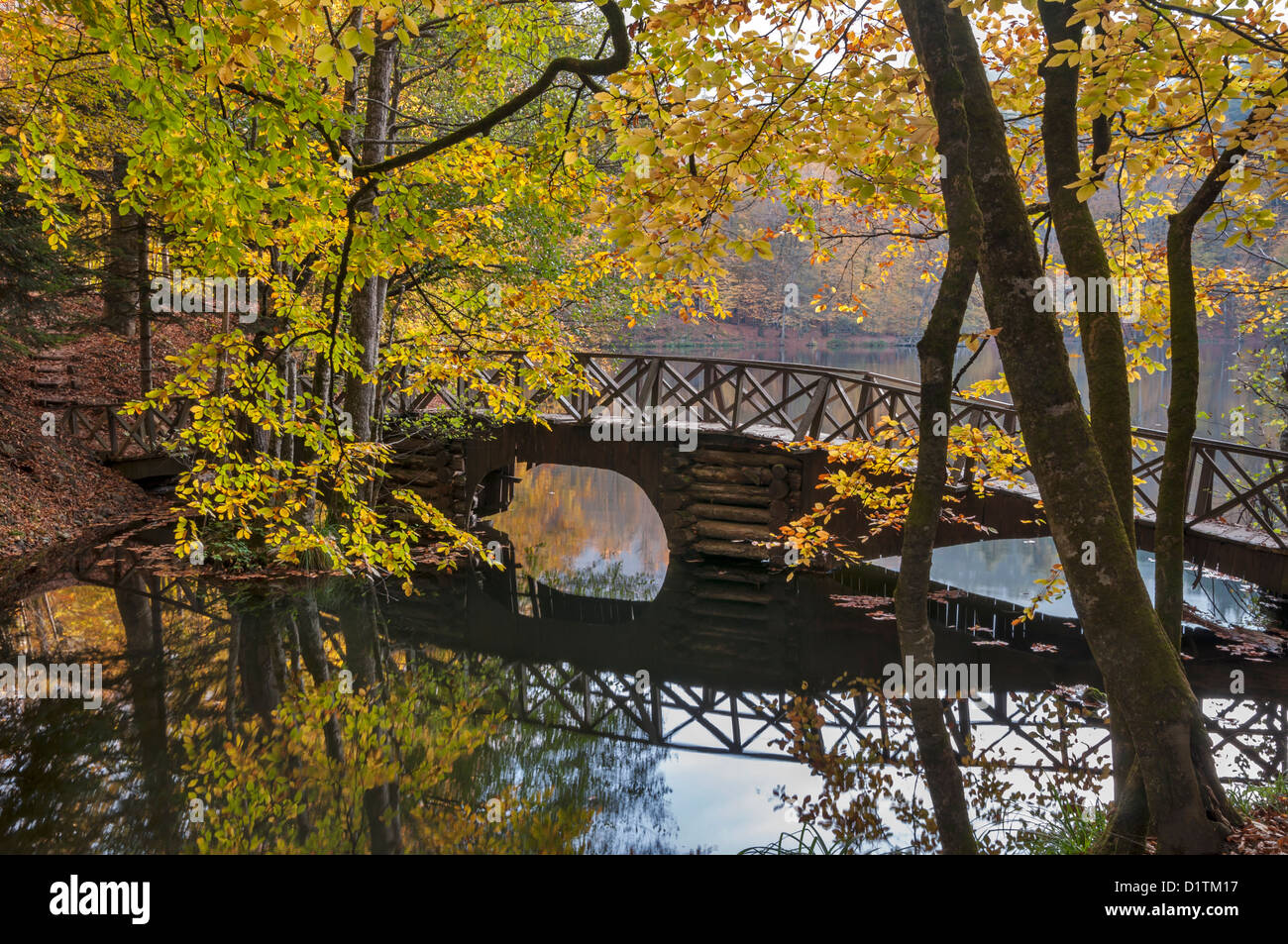 Fall Colours in Seven Lakes in Bolu,Turkey Stock Photo - Alamy