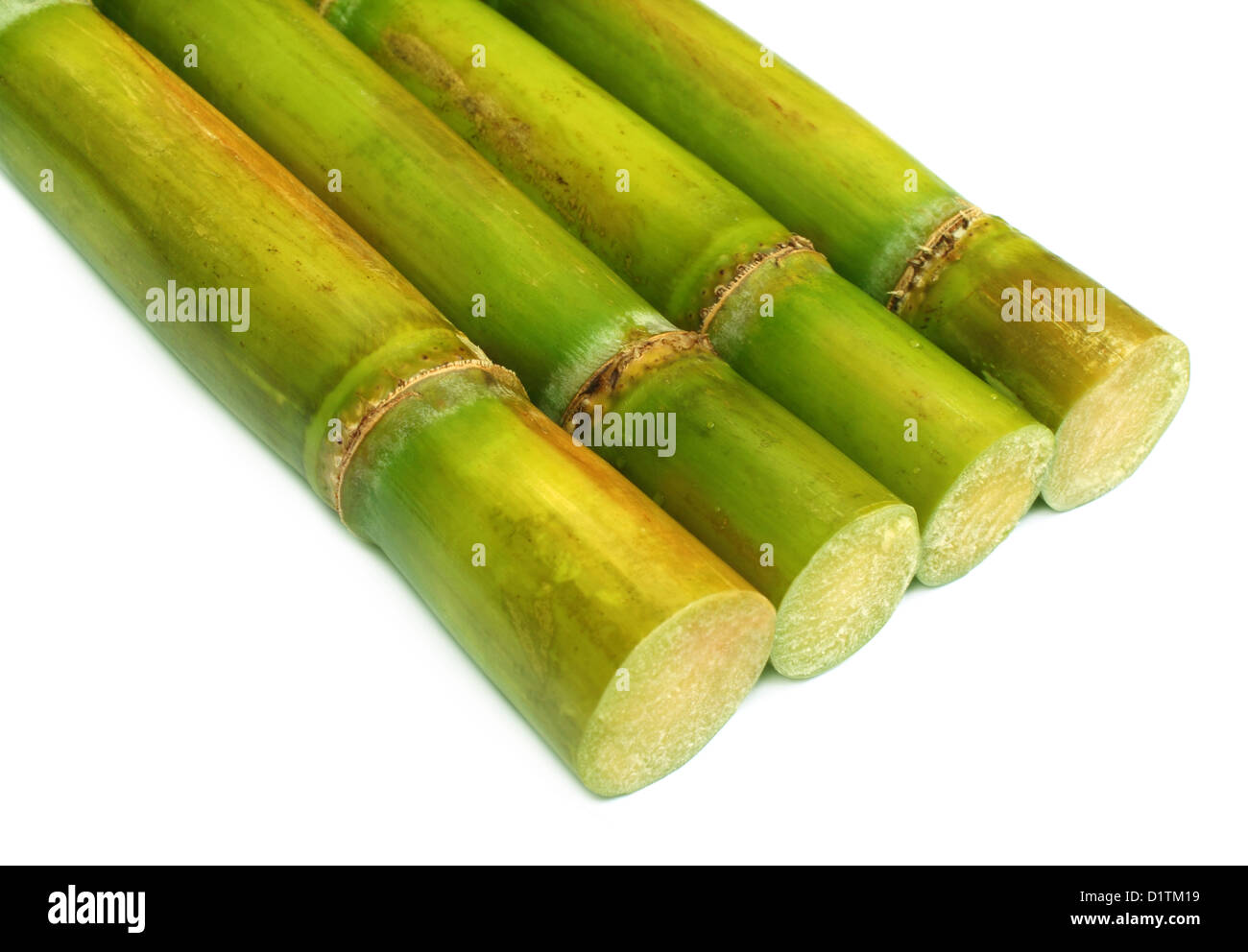 Bunch of fresh sugar cane Stock Photo - Alamy