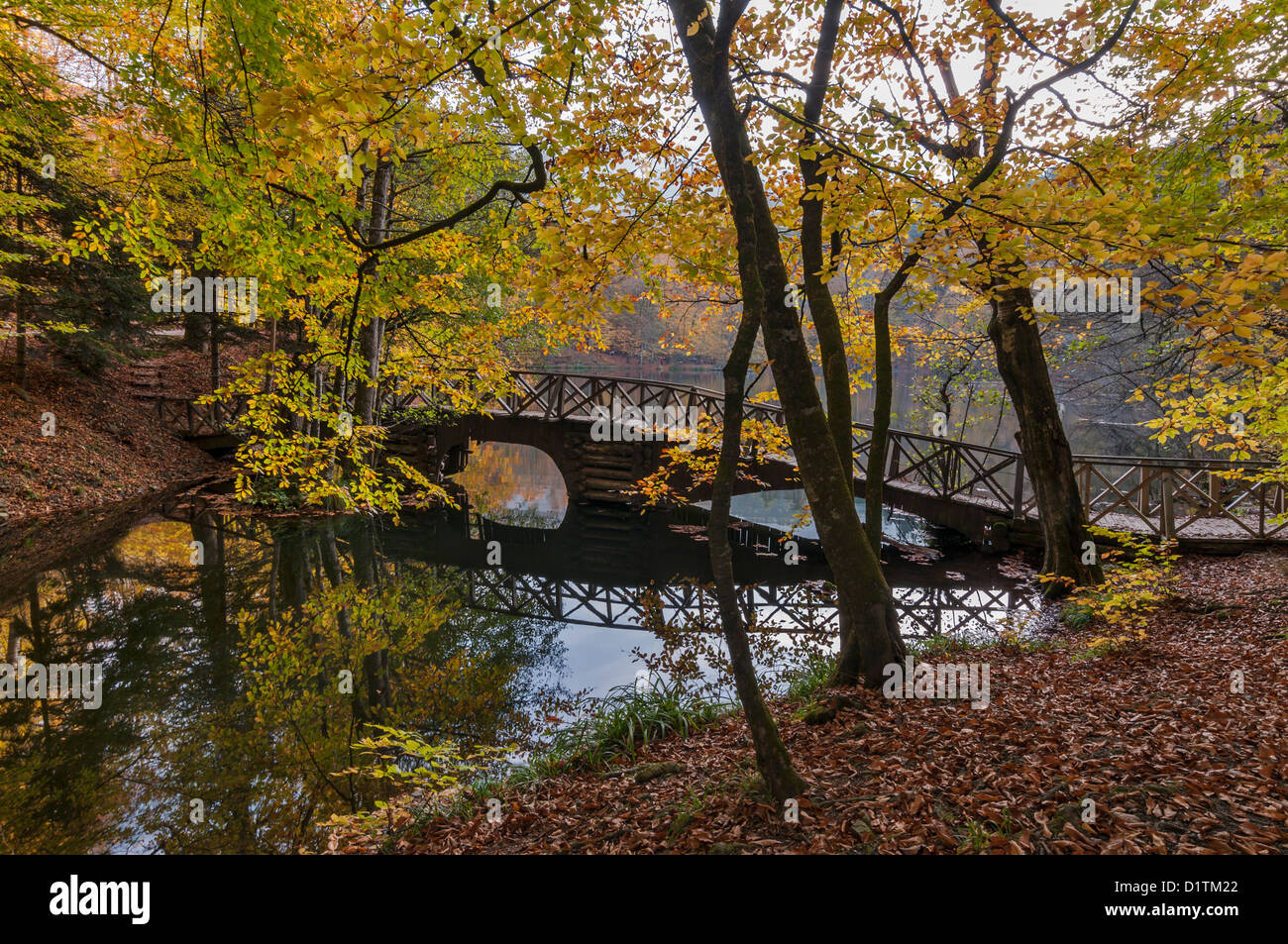 Fall Colours in Seven Lakes in Bolu,Turkey Stock Photo - Alamy