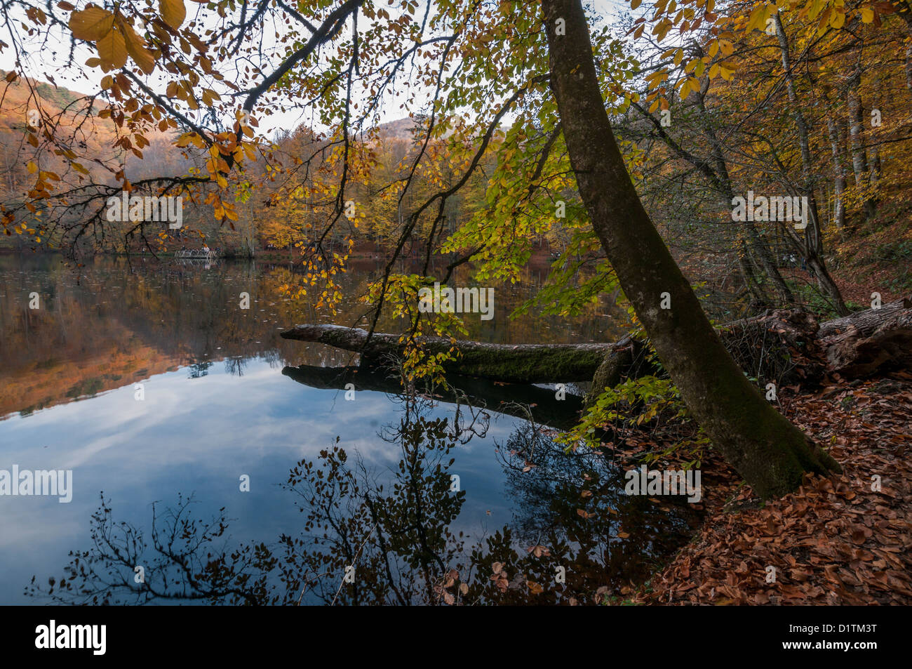 Fall Colours in Seven Lakes in Bolu,Turkey Stock Photo - Alamy