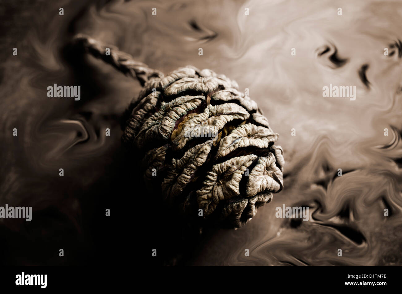 Cone still life on an old table Stock Photo - Alamy