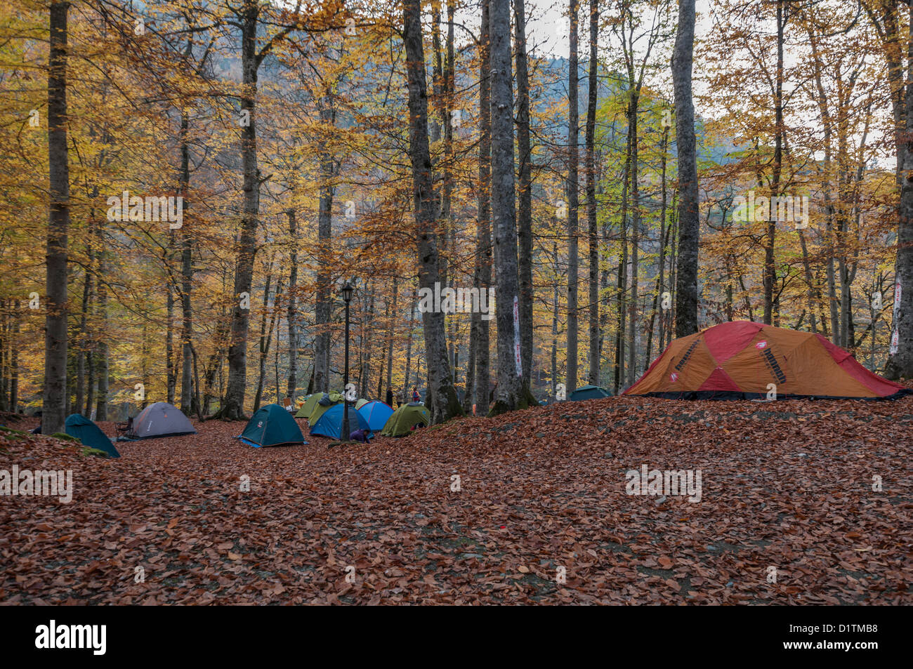Fall Colours in Seven Lakes in Bolu,Turkey Stock Photo - Alamy