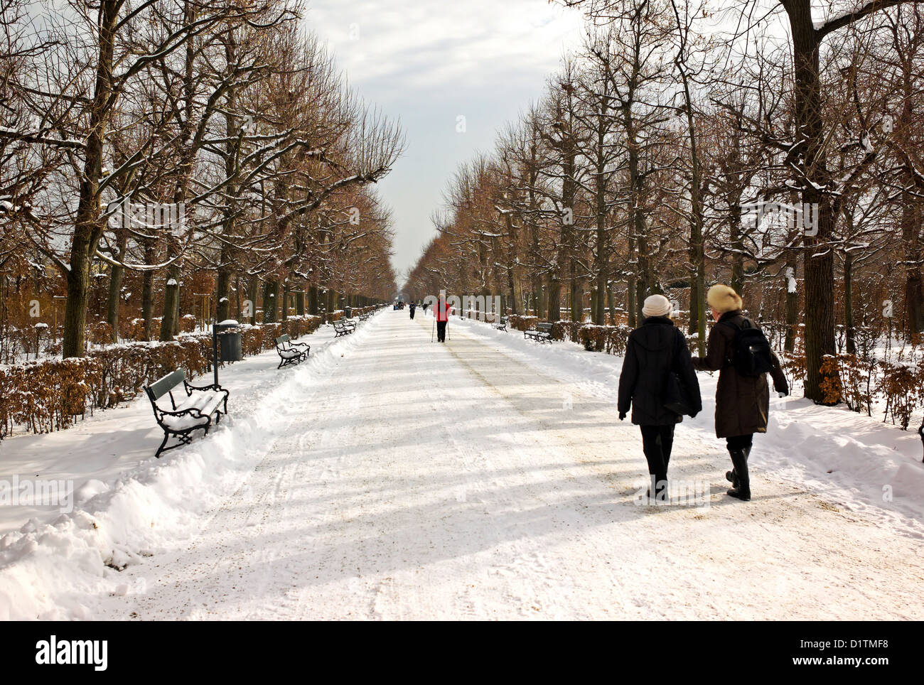 -Schönbrunn Park- Vienna (Austria Stock Photo - Alamy