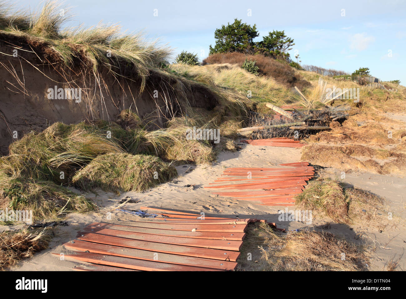 Portrane hi-res stock photography and images - Alamy